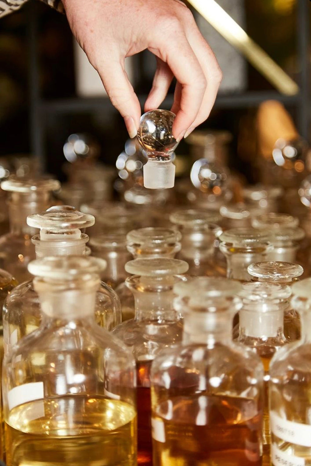 Below Body's Guide: To Fragrances to Stimulate Desire & Sex.